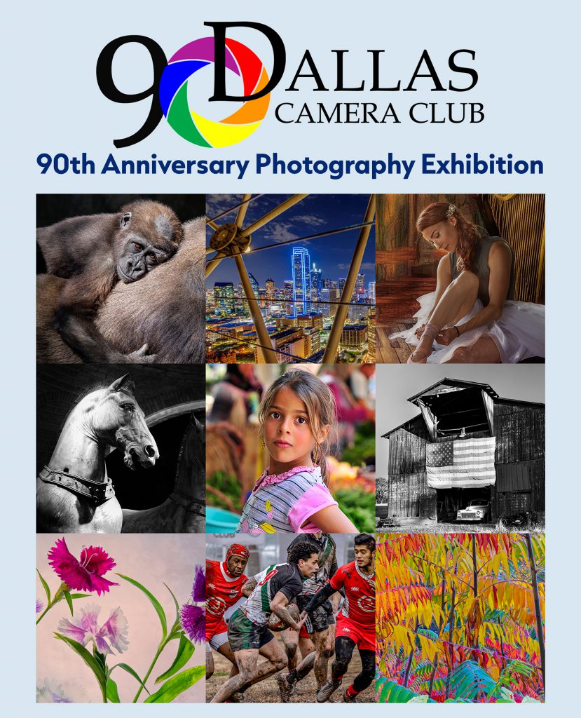 Dallas Camera Club – 90th Anniversary Exhibition – Bath House Cultural ...