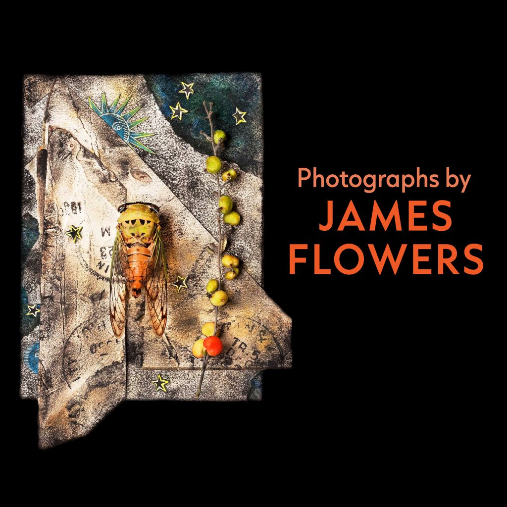 Photographs by James Flowers – Bath House Cultural Center